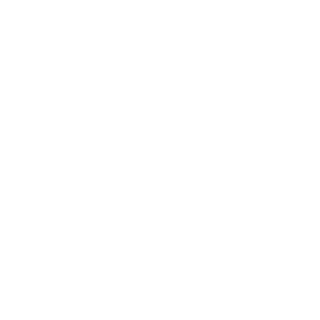 Spidexx | Expert Pest Control & Exterminator Service