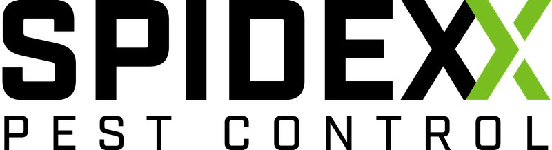 Spidexx | Expert Pest Control & Exterminator Service