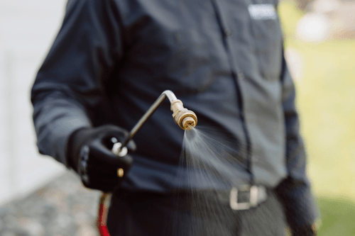 Contact Spidexx | Expert Pest Control & Exterminator Service