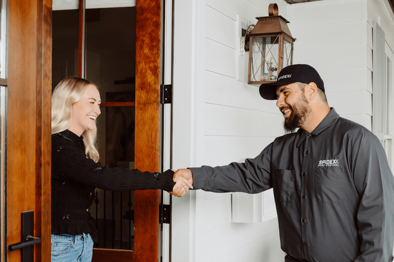 Spidexx | Expert Pest Control & Exterminator Service