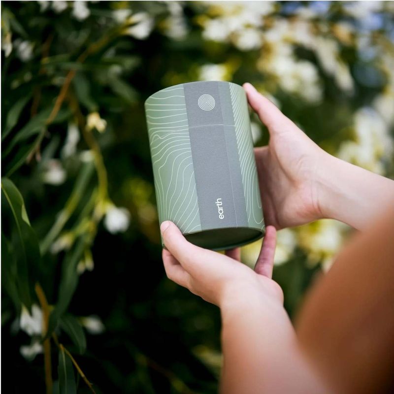 Tree Pod Burial Explained: Becoming a Tree After Death