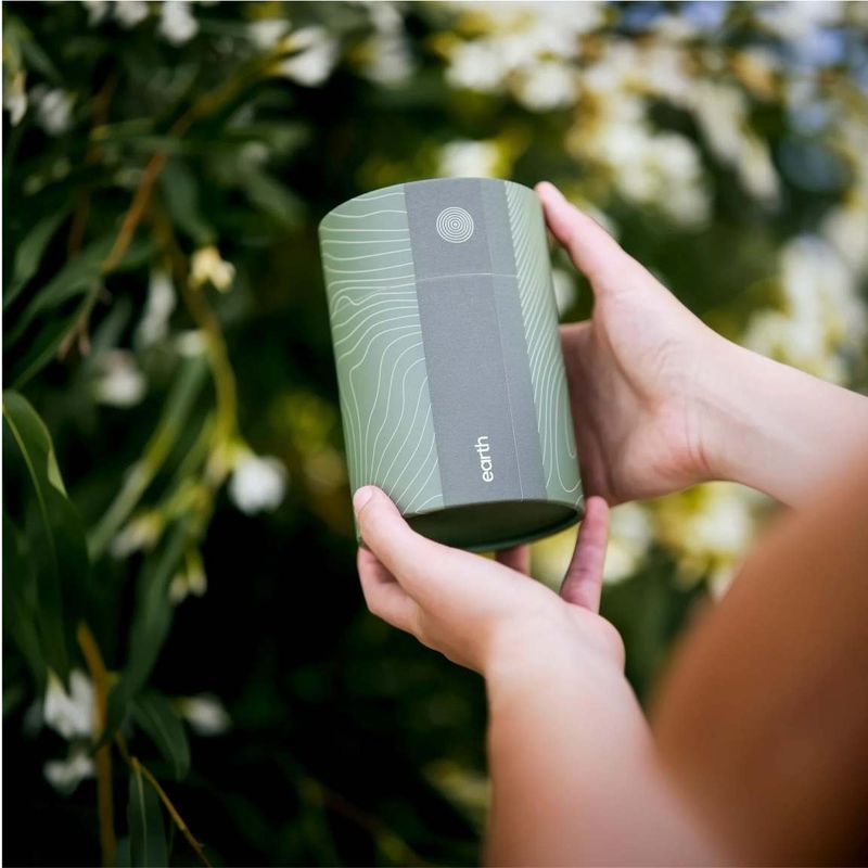 Tree Pod Burial Explained: Becoming a Tree After Death