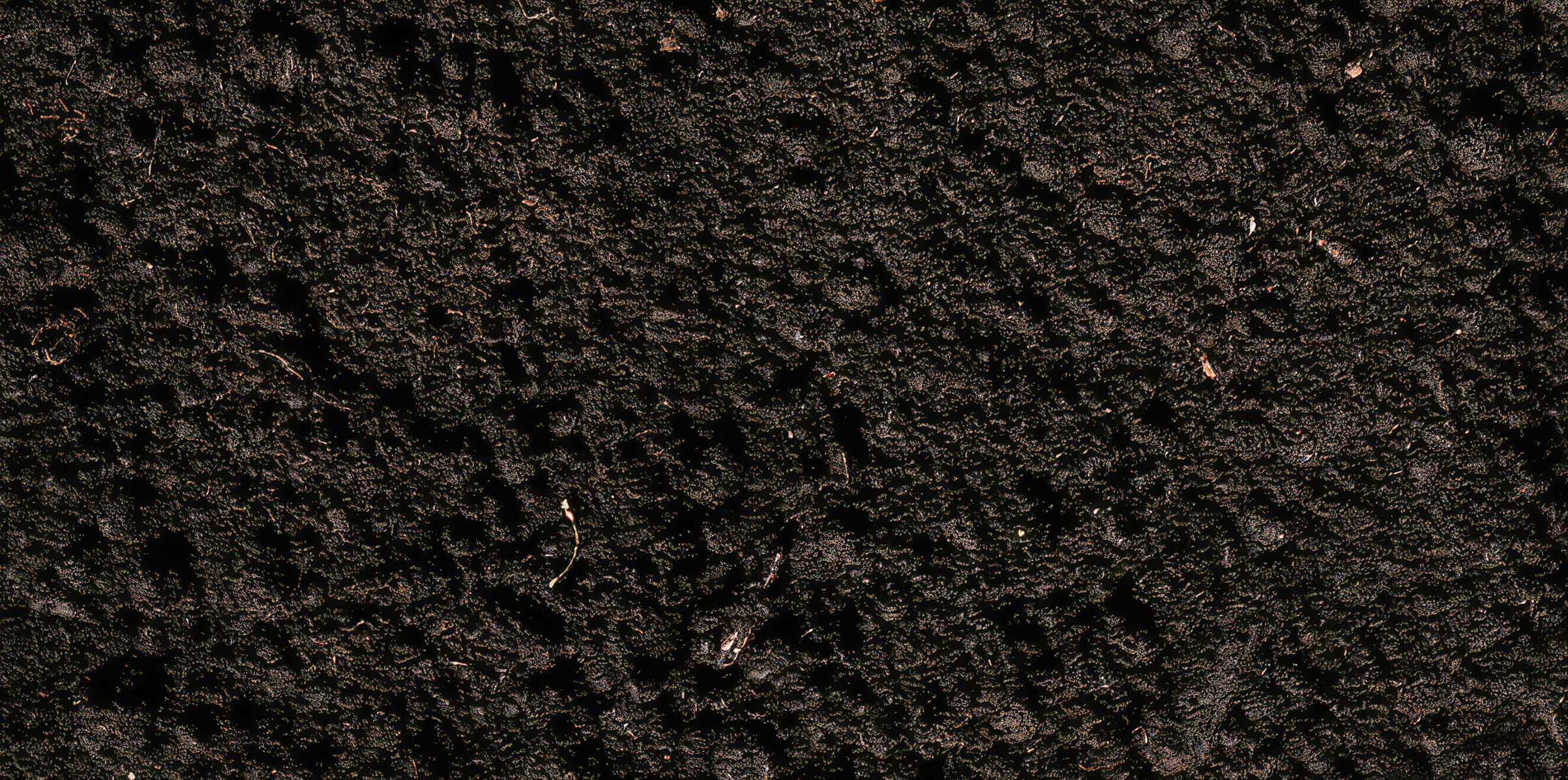 How To Use Your Soil
