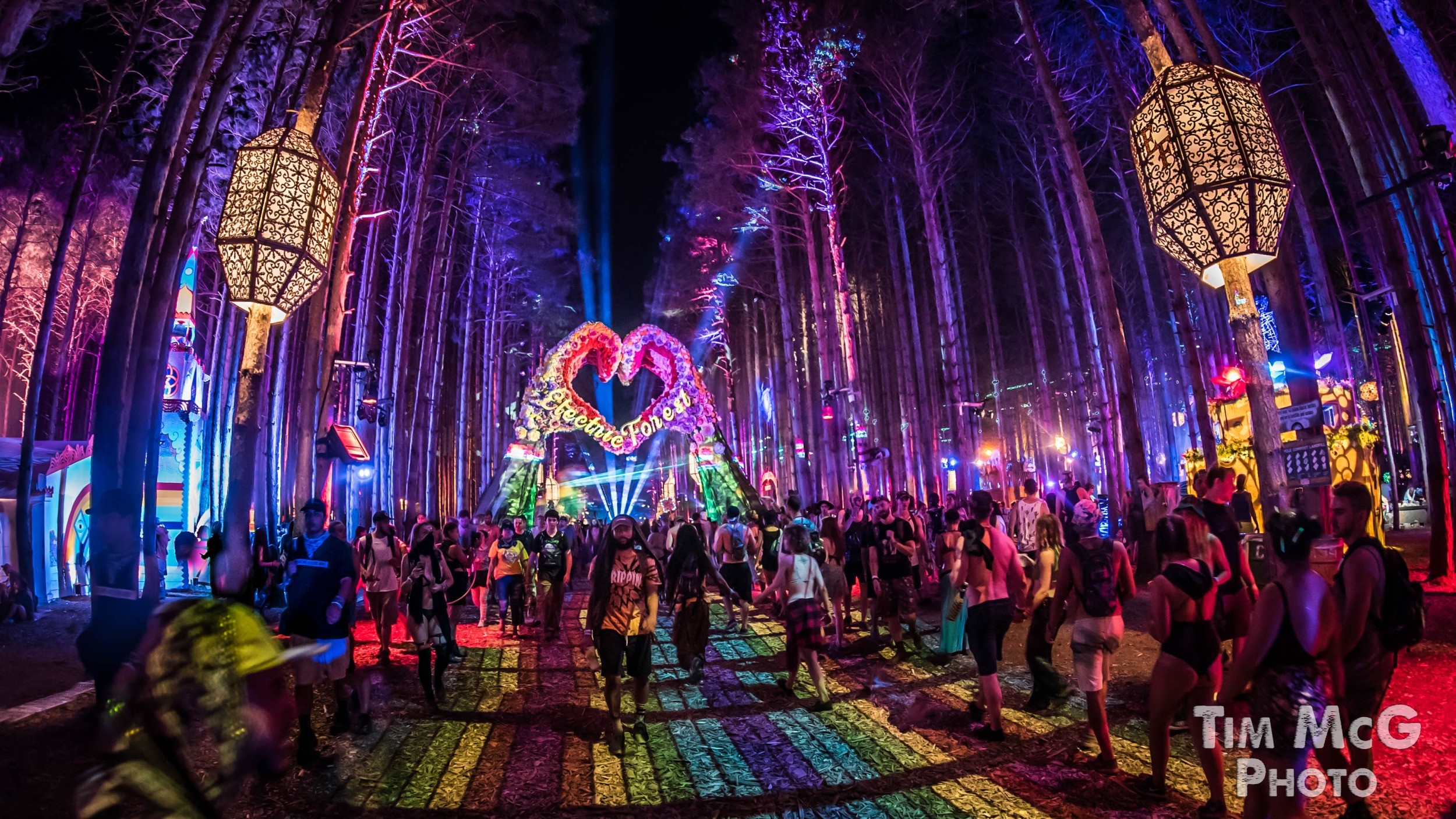 Electric Forest 🌳 | CalendarX