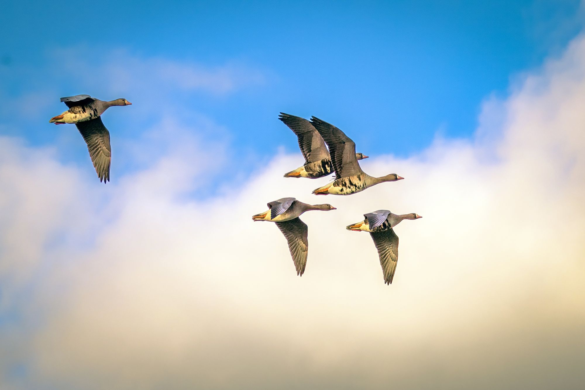 Corporate Global Mobility & Relocation Services | K2 Bespoke