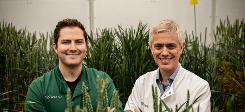 Professor Sir Andrew Pollard | Ellison Institute of Technology Oxford