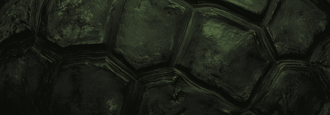 Adapt Forward Cyber Security