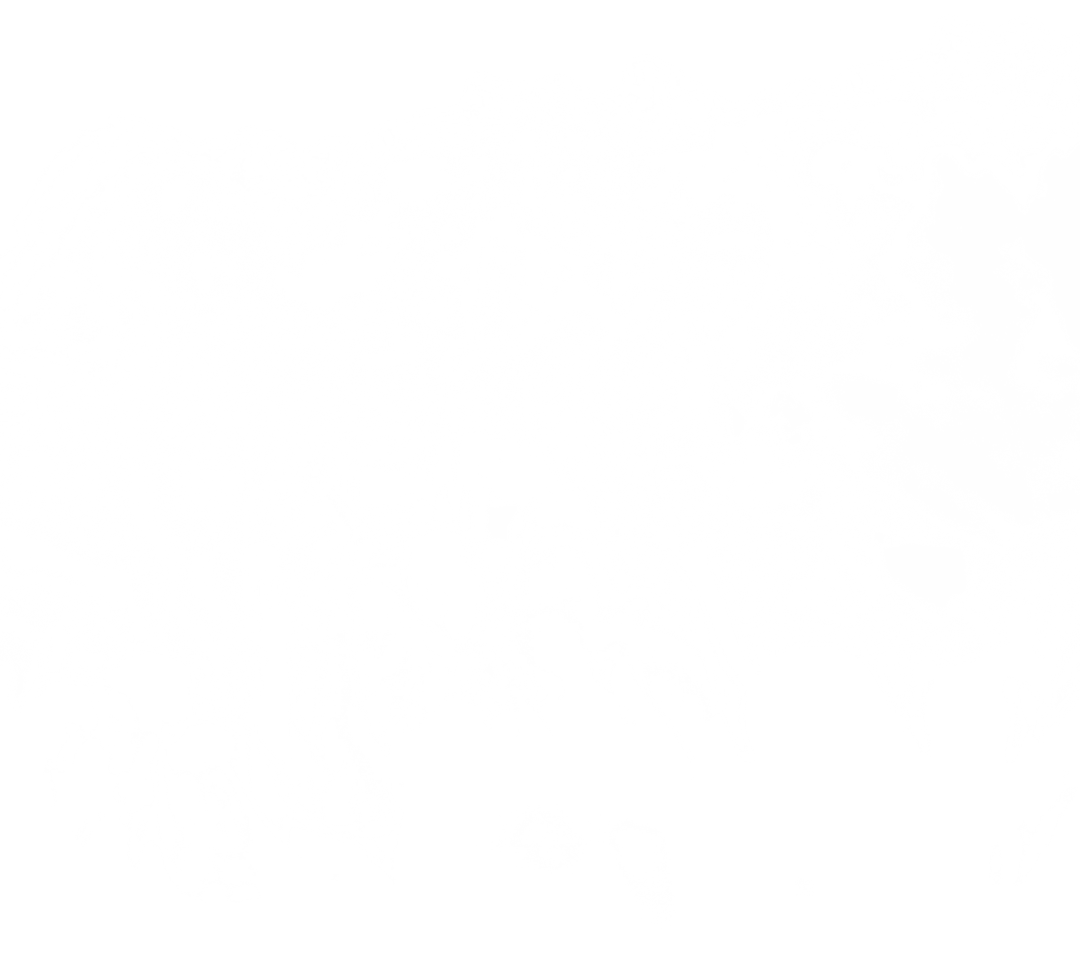 Mānuka Phuel NZ | Best natural energy drink in New Zealand