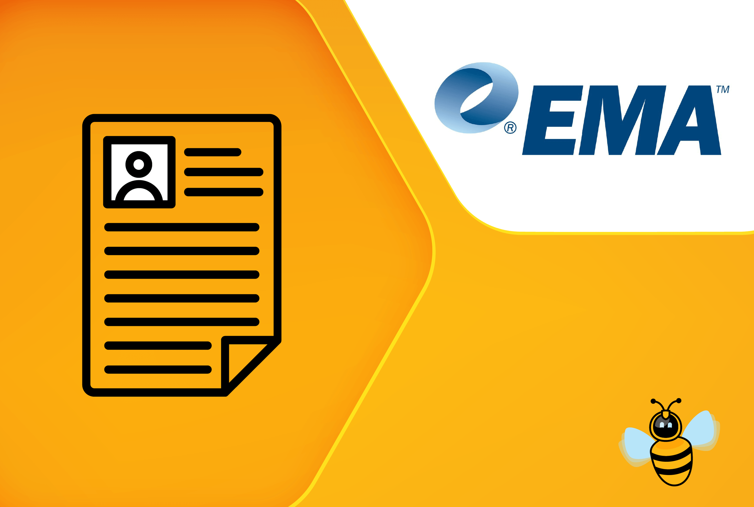 DataBee® | EMA Vendor Vision: DataBee - Leader in Security Data Fabric