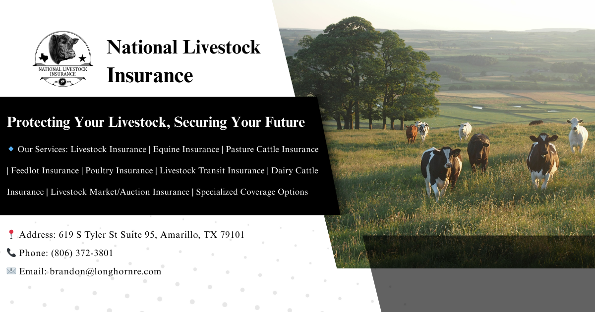 National Livestock Insurance | 806-372-3801
