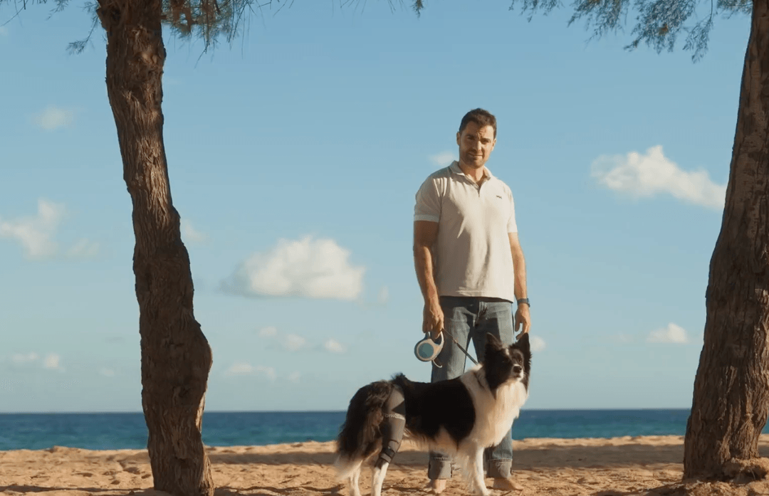 Batuz: qué es, calendario y guía de implantación en Bizkaia