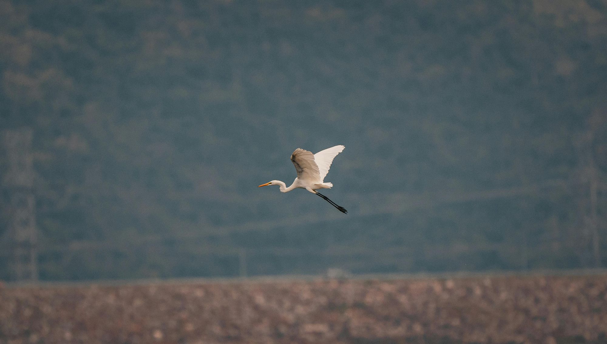 Makeen Advisors: From Complexity to Clarity: How Structured Problem Solving Leads to Better Outcomes