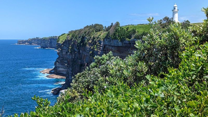 Sydney Harbour Explored: Federation Cliff Walk | Sydney Walks