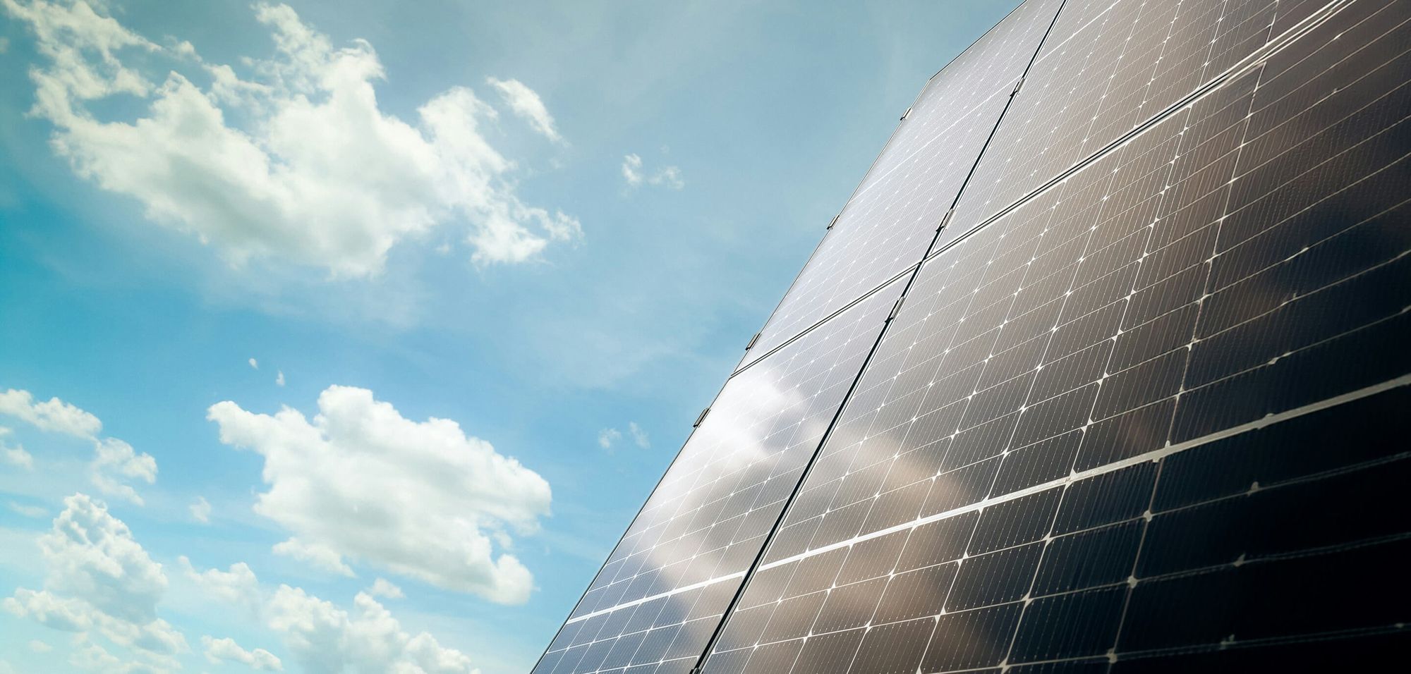 About LONGi | Global Leader in Solar Technology and Sustainability