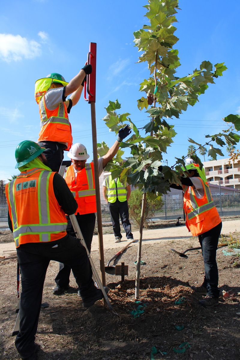LA Conservation Corps: What We Do
