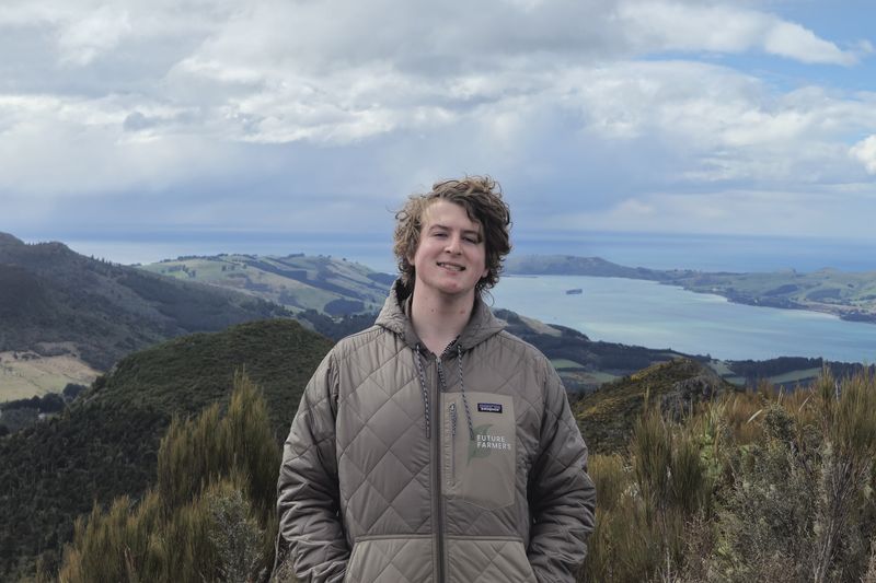 Chapman Tripp Report Series