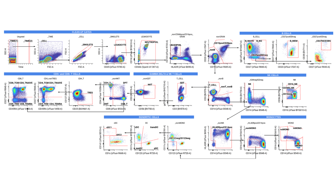 Custom Spectral Panel Development
