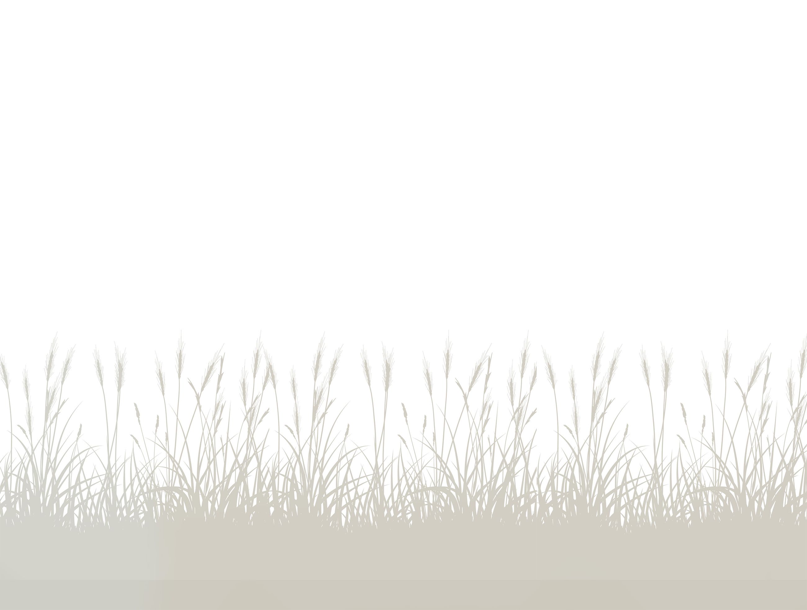 Wheat Inversed | Opulence Decorative Film | Indiana Glass