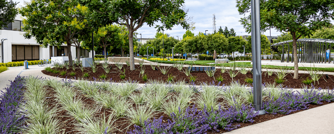 Commercial Landscape Planning in 2026: Building Resilient, High ...