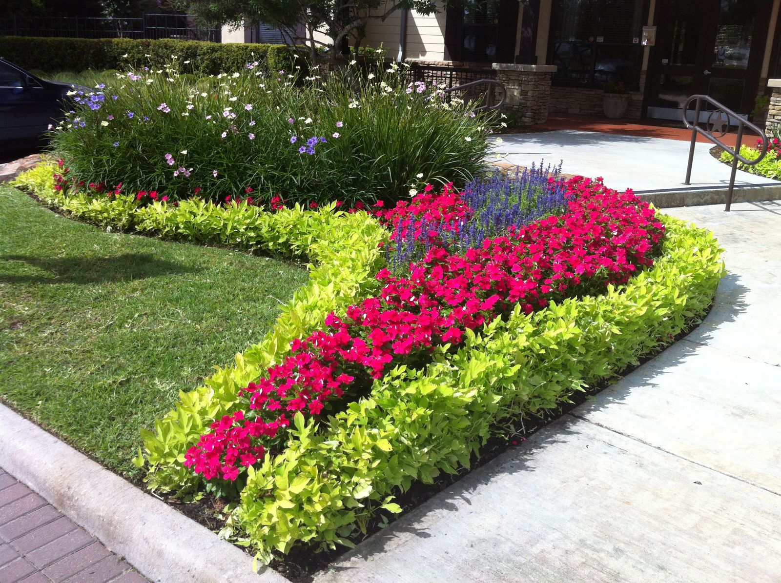 Winter Turf & Tree Care in Florida: Evergreen Tips for Healthy ...