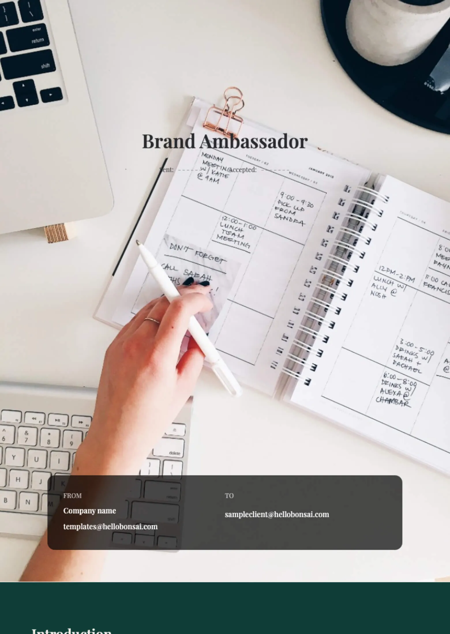 Brand Ambassador Proposal Template - Bonsai