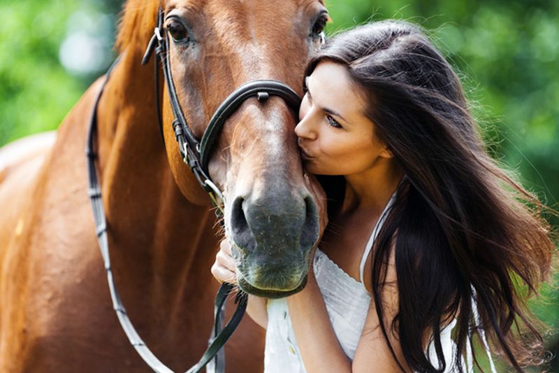 SLIDE™ ha+ Equine