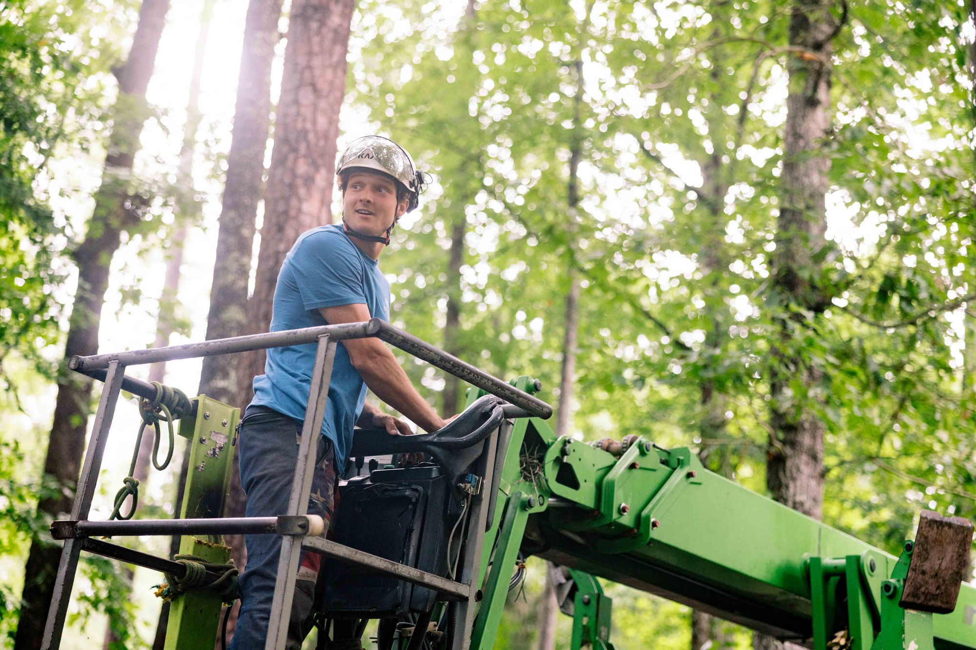 Tree Service Tallahassee, Florida | Miller's Tree Service