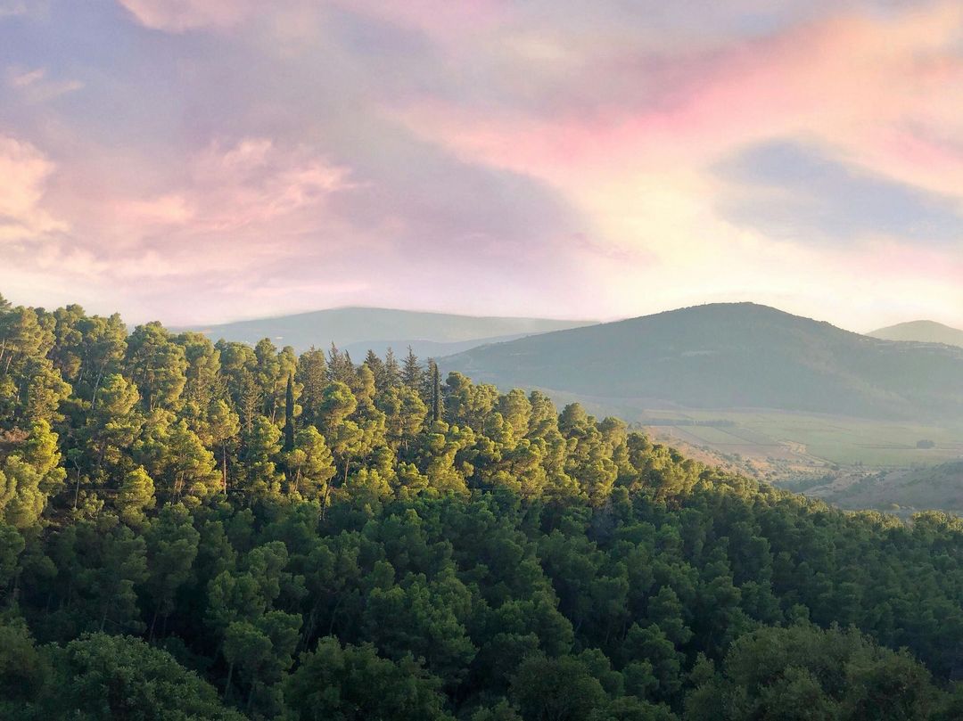 Exowatt | Powering AI with 24-hour Dispatchable Energy