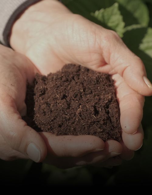 Krushi India: Bharat’s Leading Organic Fertilizer Provider