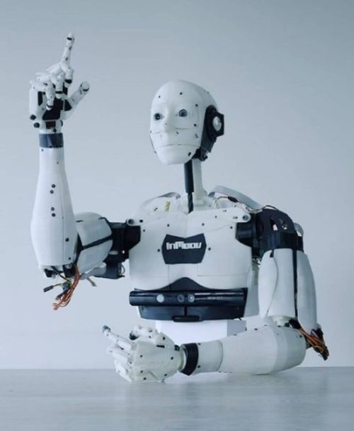 InMoov - Robot Details, Use Case and Specifications | Aparobot