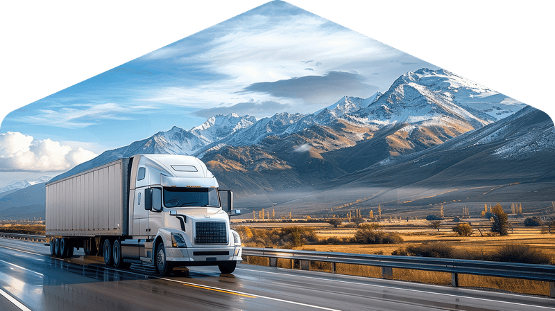 Idelic | Safety Solutions That Fit Your Fleet and Budget