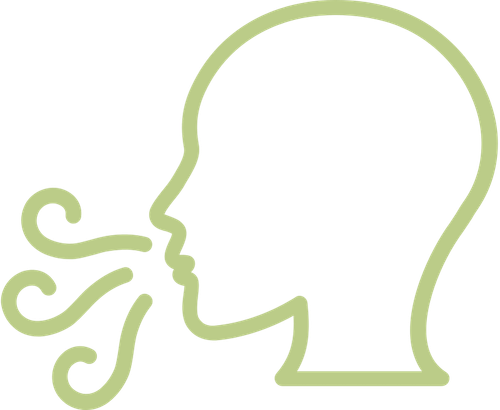 Pollen Sense | Patented, Real-Time, Portable Particle Identification System