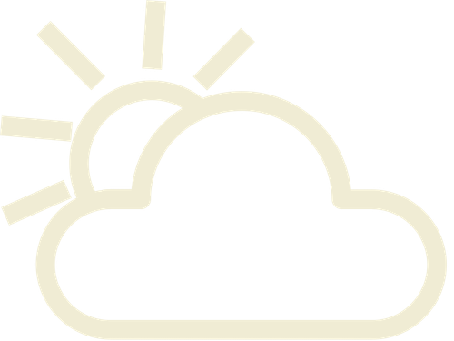 Pollen Sense | Patented, Real-Time, Portable Particle Identification System