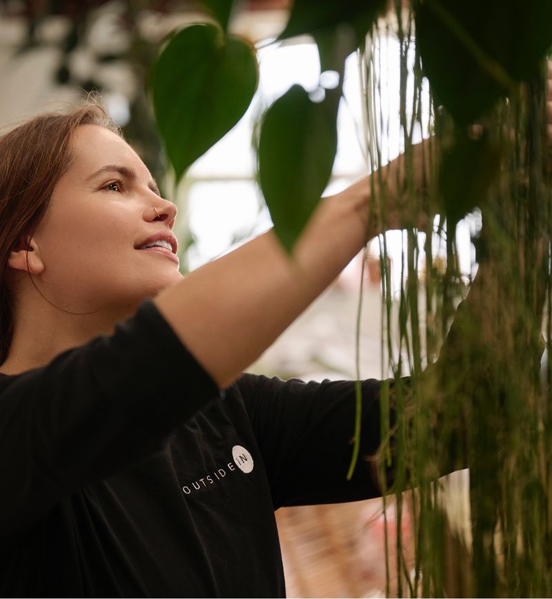 Outside In - Custom Commercial Greenery Solutions NZ