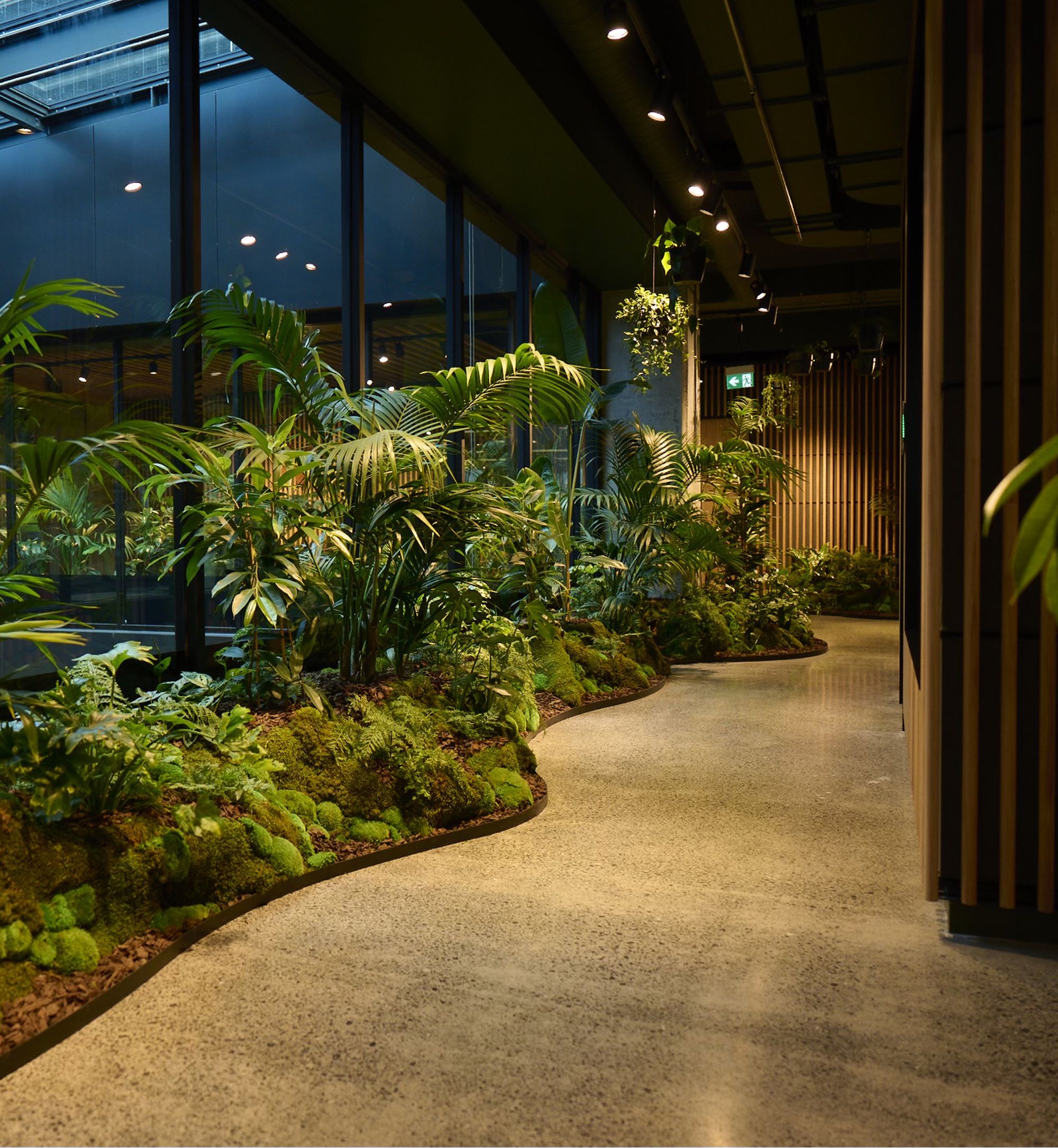 Outside In - Custom Commercial Greenery Solutions NZ