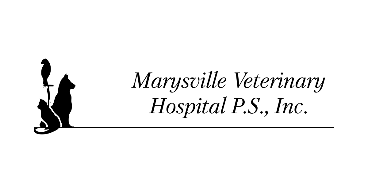 Meet Our Doctor | Dr. David Eitner