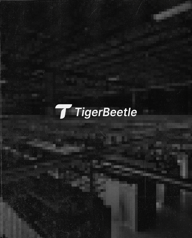 Why TigerBeetle is the most interesting database in the world | Amplify Partners