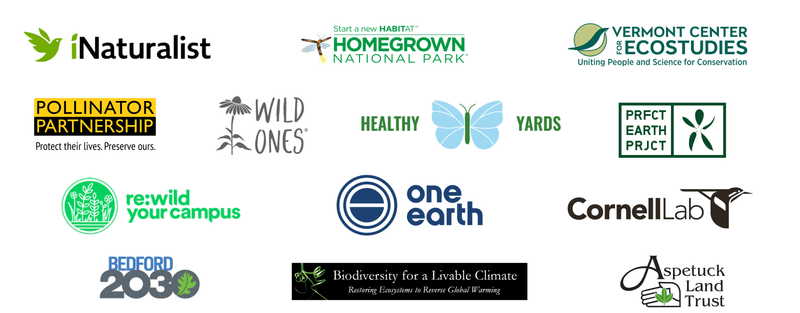 Less Lawn More Life 2025