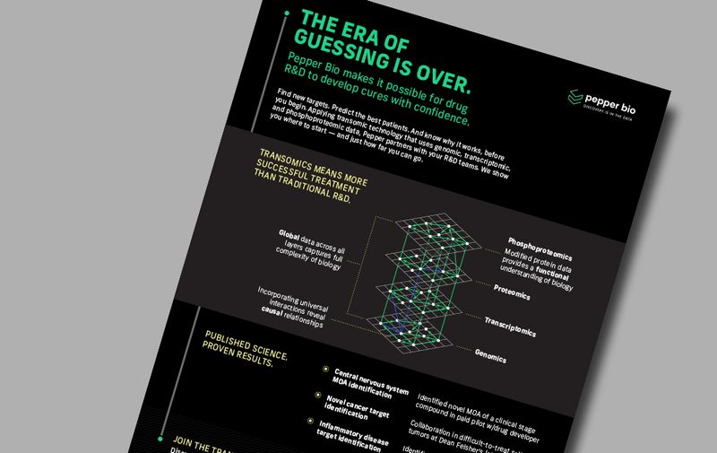 Jon Tran | Creative Director Portfolio
