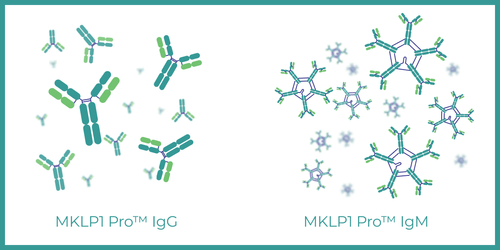Axio BioPharma | AI-Powered Antibody Manufacturing CDMO