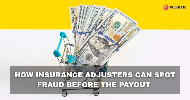 ToxMod | Proactive, Voice-Native Moderation for Games