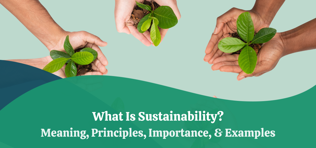 What Is Sustainability? | Meaning, Principles, Importance, & Examples