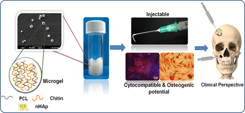 Beyond PLGA: Exploring new materials for microfluidic drug delivery ...