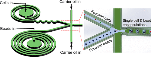 Turning random encapsulation into predictable single-cell control ...