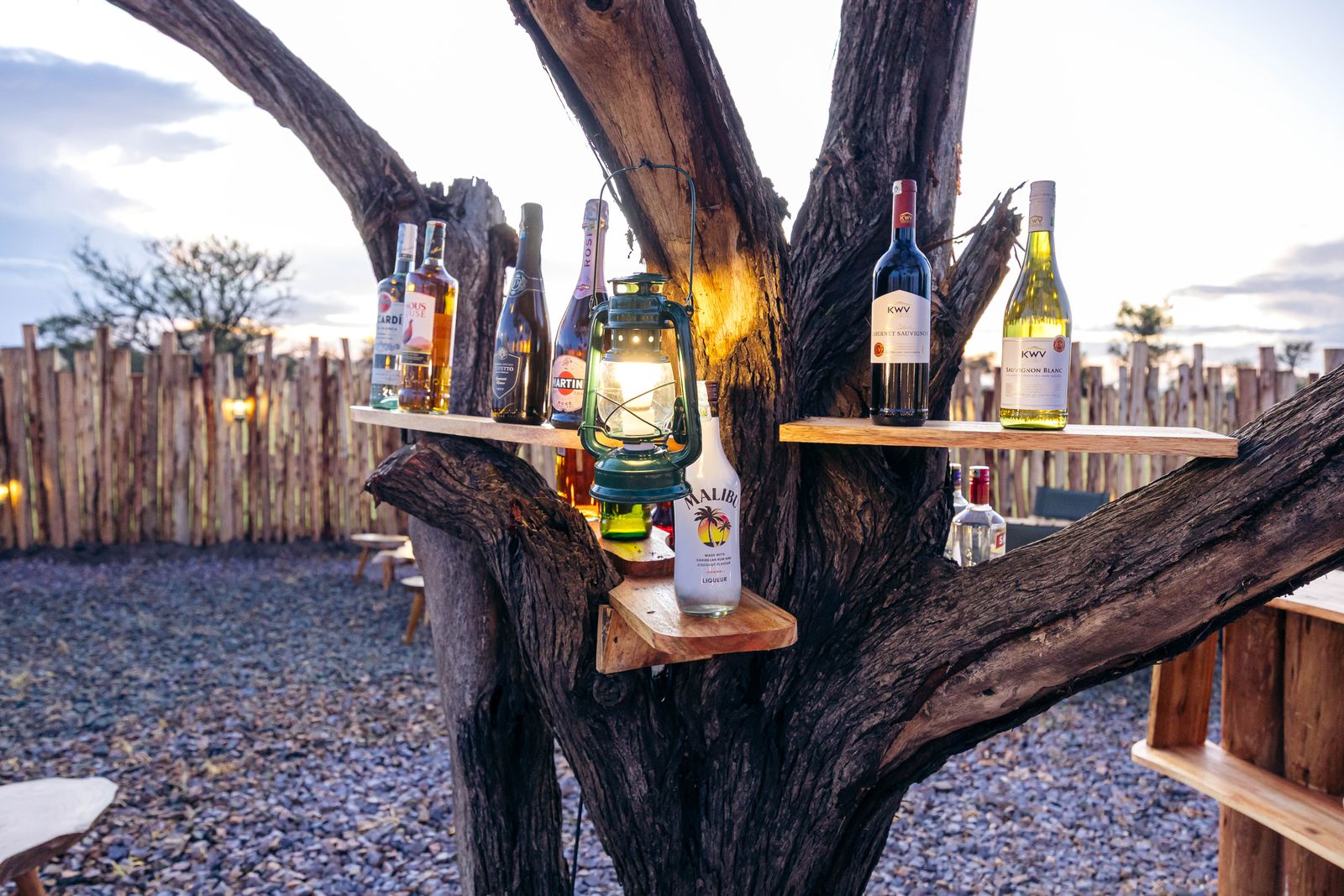 Welcome Back to Tanzania: Experience the Magic of Serengeti at African ...