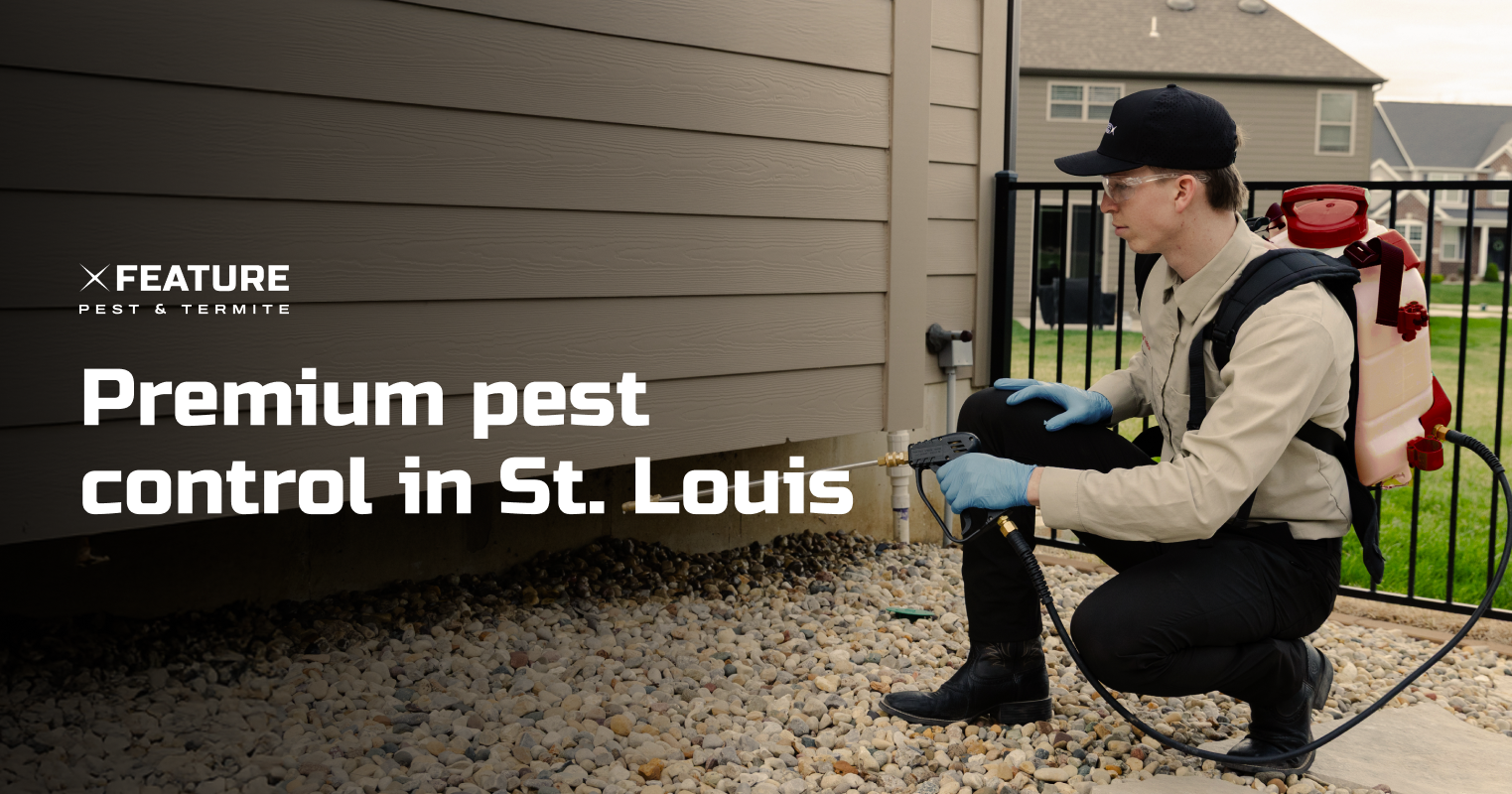 Premium pest control in St. Louis
