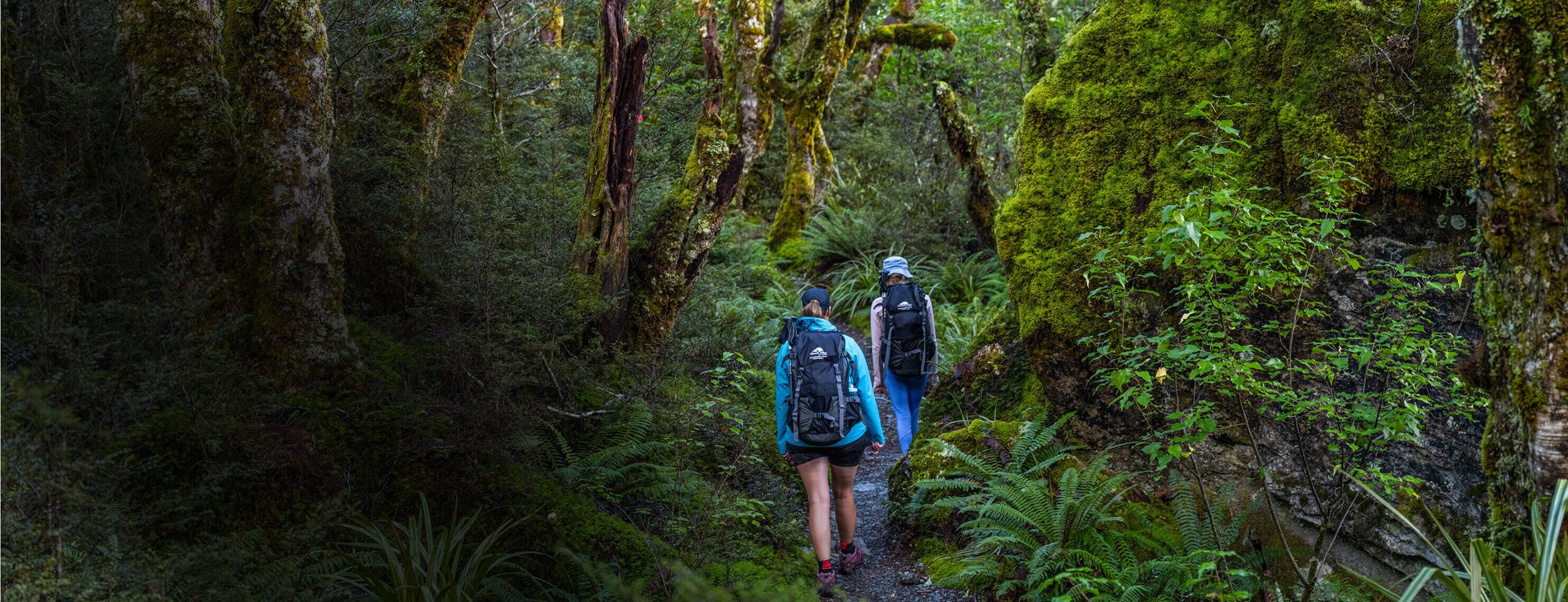 Choose Your Adventure - Compare Walks - Ultimate Hikes