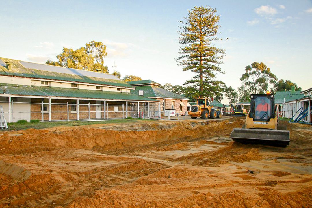 About Tracc - our values, leadership, history and client relationships