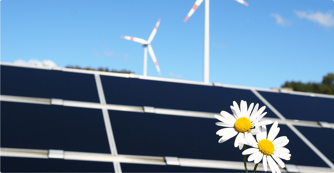 Meet the Team | Downing