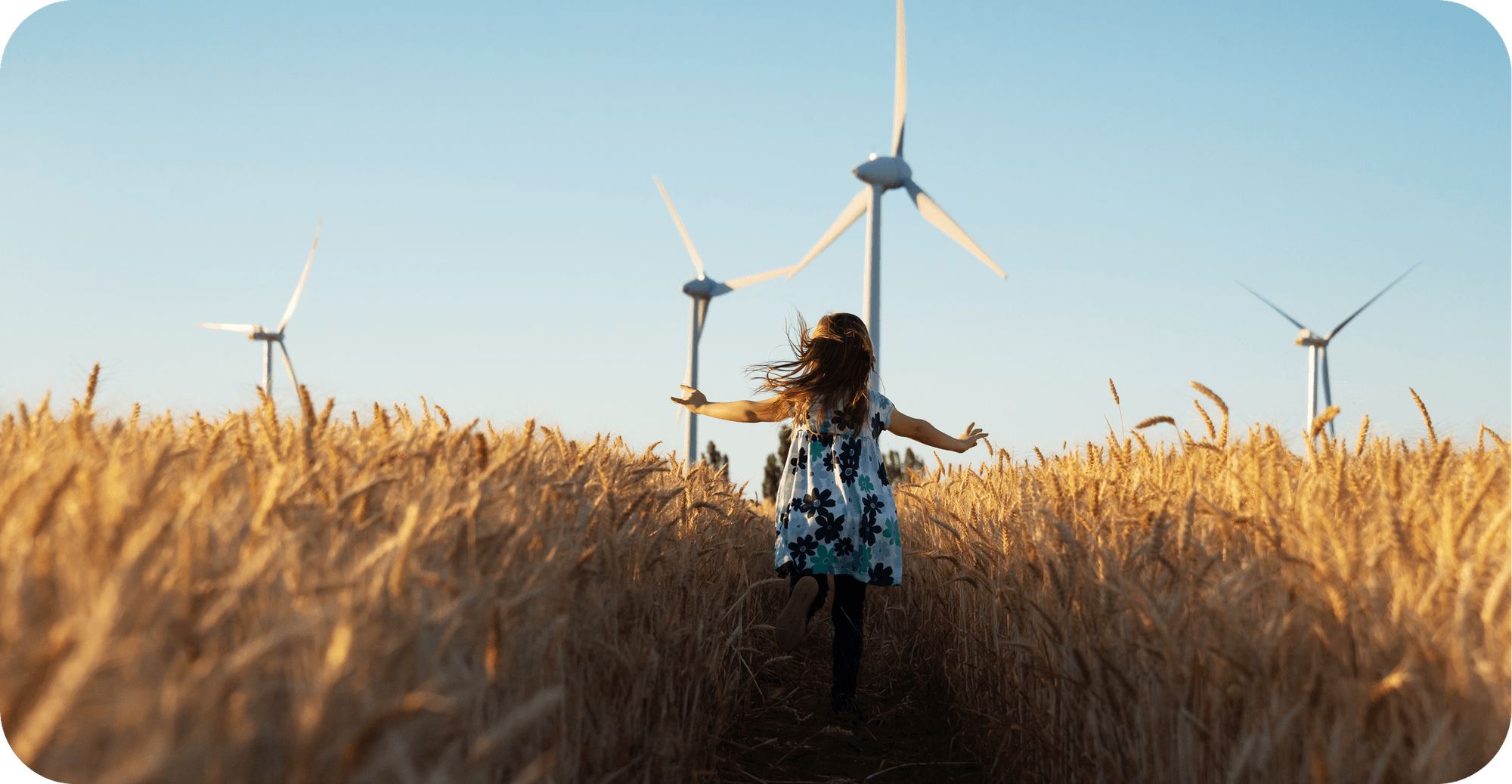 Renewable Energy Investments - UK & Northern Europe | Downing